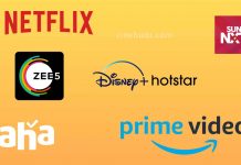 Bollywood Movies Digital Release Dates & Hindi OTT Releases 2024 - Cinebuds