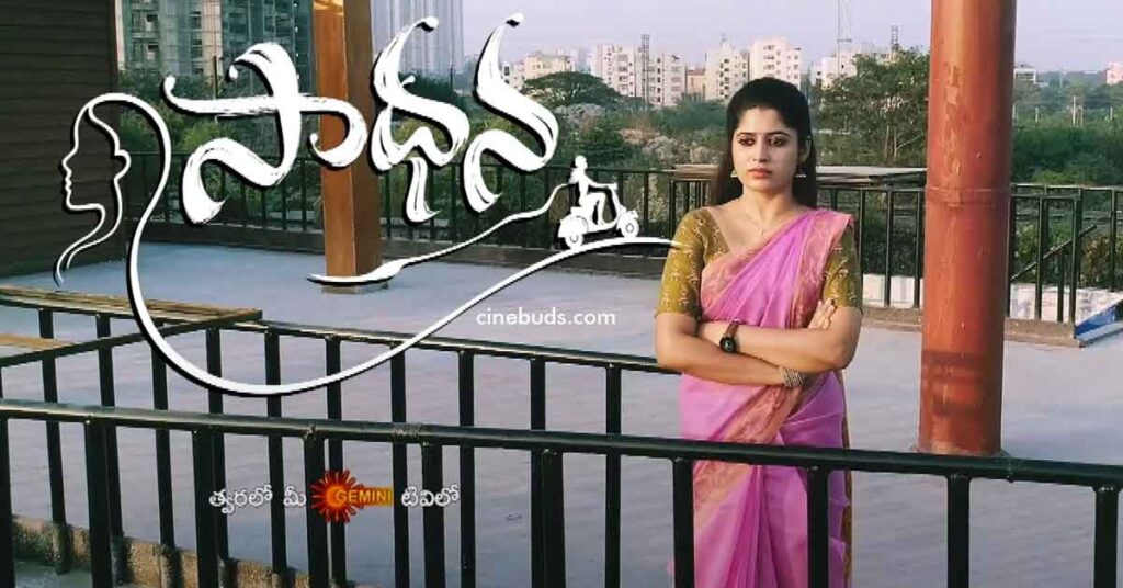 Sadhana Telugu Serial Cast, Wiki, Start Date, Story, Telecast Time ...